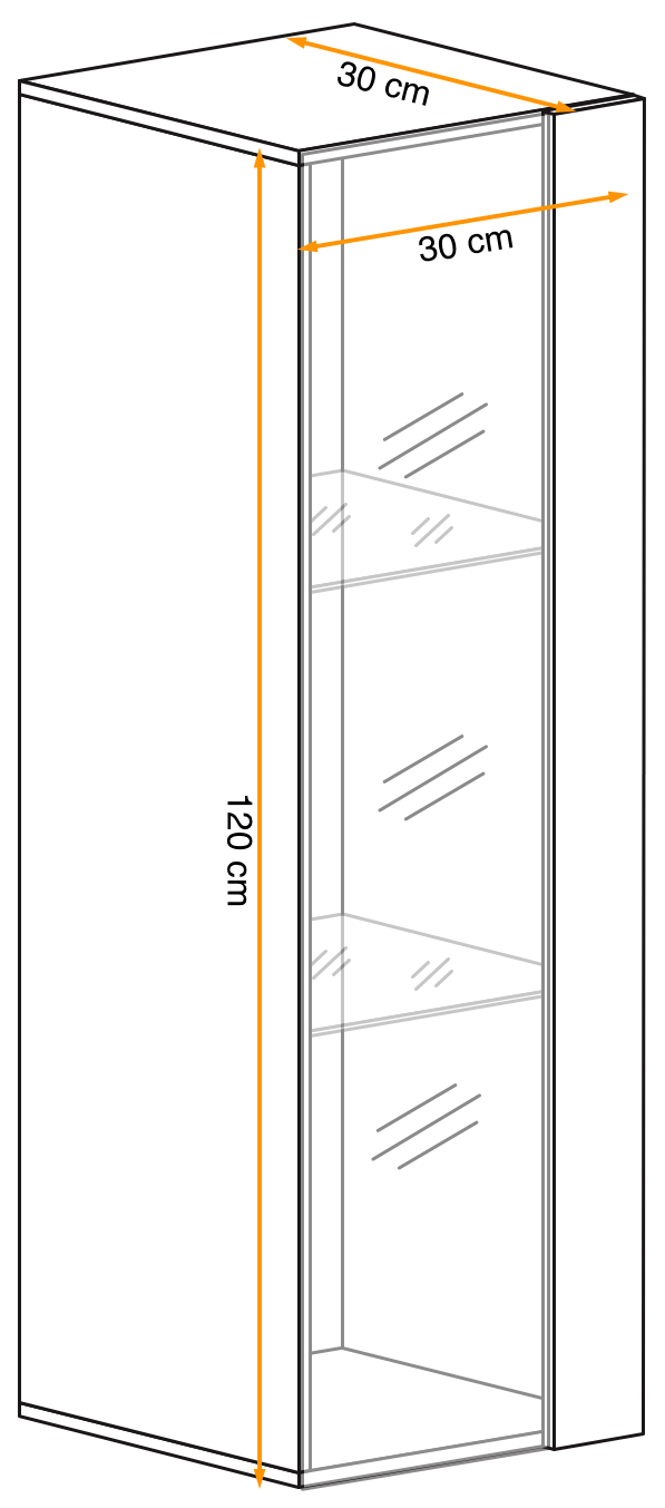 Witryna Switch WW 2 wisząca do salonu z kategorii Witryny w niskiej cenie dostępny w ...